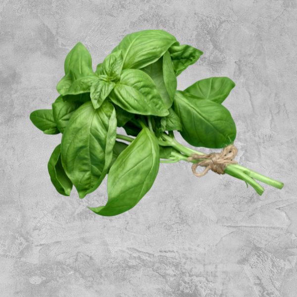Fresh Australian Basil - THE FISHWIVES – The Fishwives Singapore